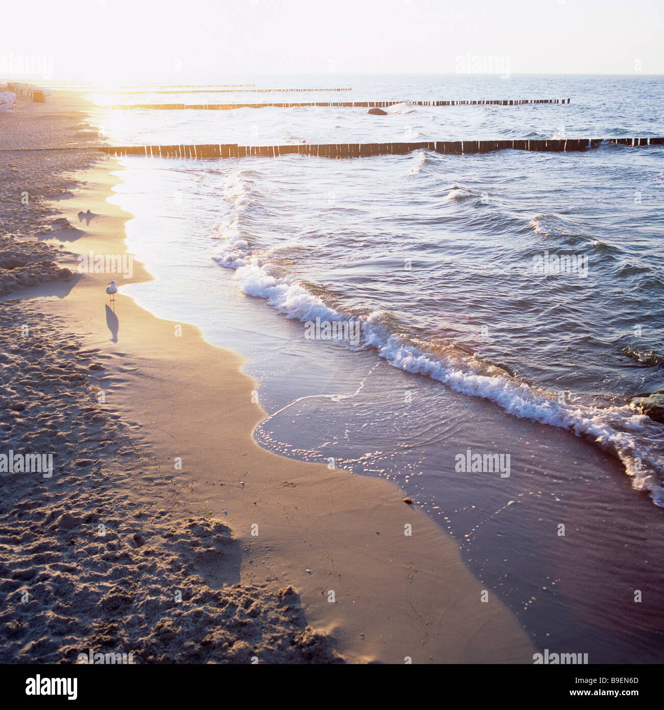 Ostseebad kuehlungsborn hi-res stock photography and images - Alamy
