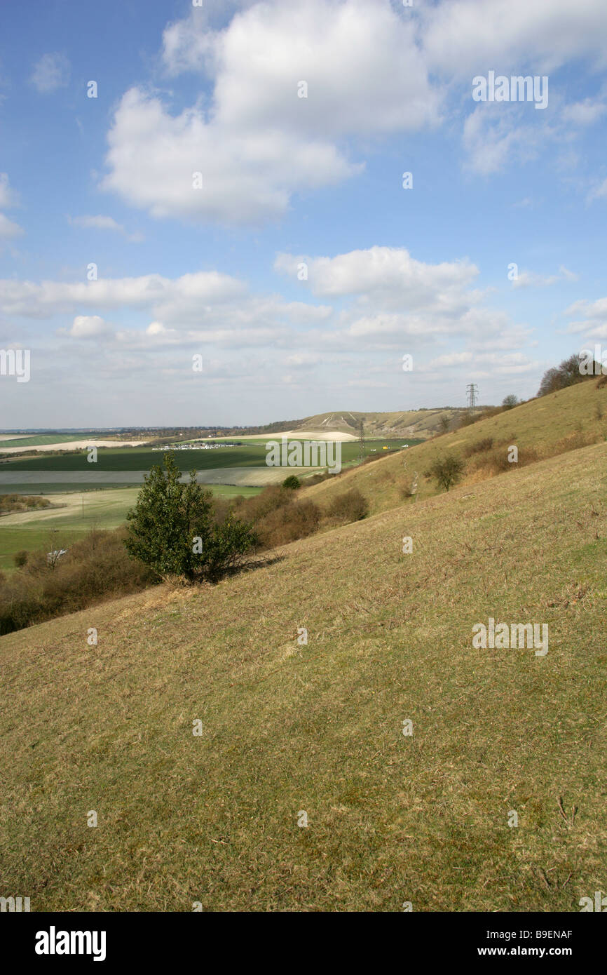 Dunstable Downs, Bedfordshire, UK Stock Photo - Alamy
