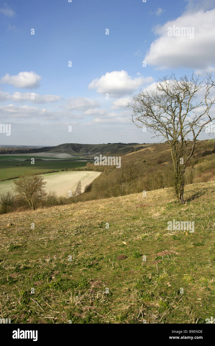 Dunstable Downs, Bedfordshire, UK Stock Photo - Alamy