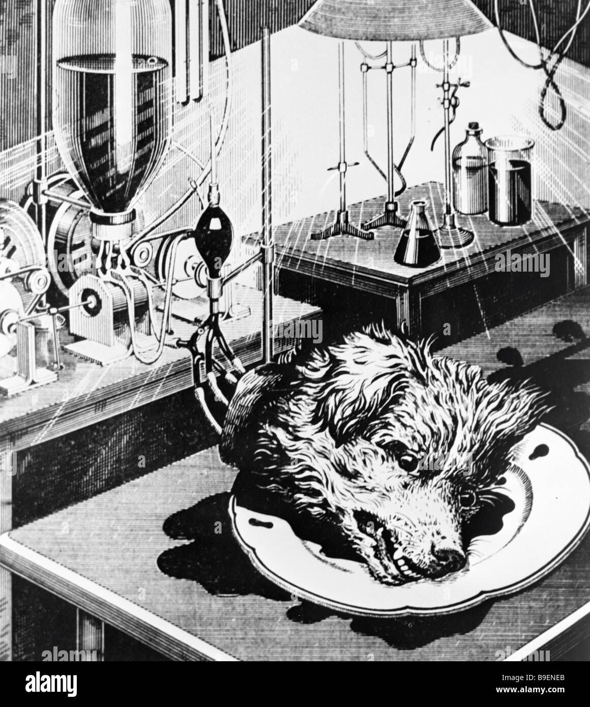 An experiment with an isolated head demonstrated by Soviet physician ...