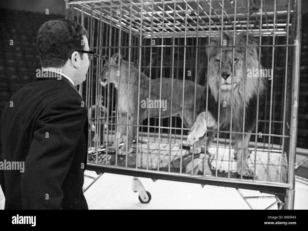 Illusionist Emil Kio looking at caged lions Stock Photo - Alamy