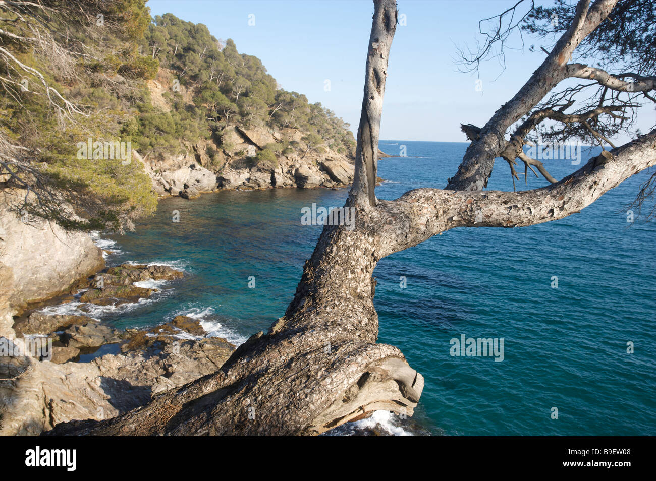 Mediterranean sea water coast hi-res stock photography and images - Alamy