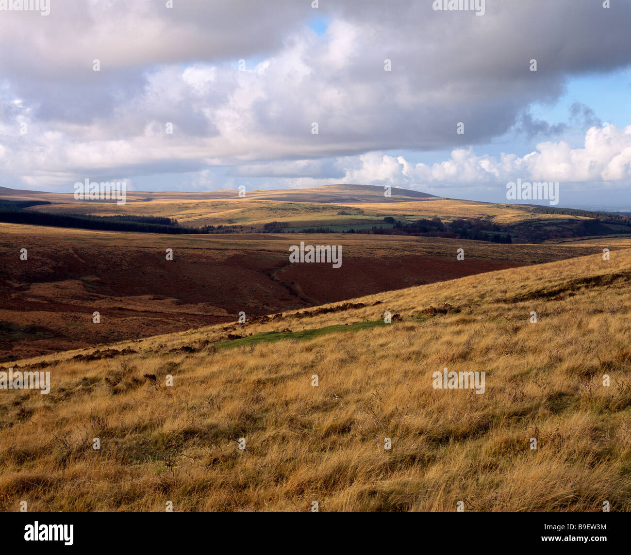 Chagford Common in Dartmoor National Park near Chagford, Devon, England ...