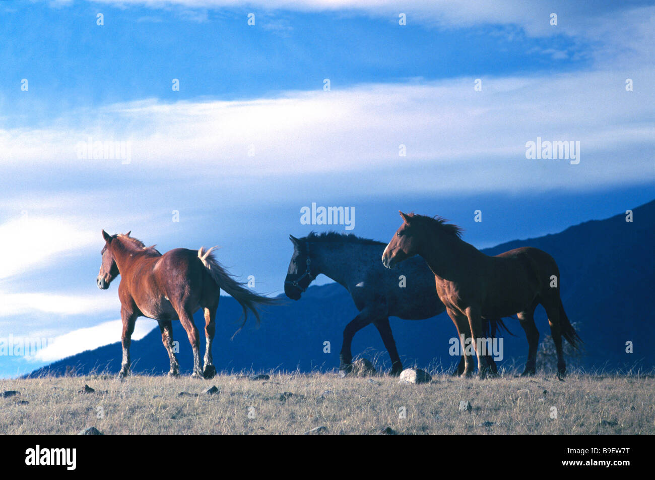 Chilcotin ranges hi-res stock photography and images - Alamy