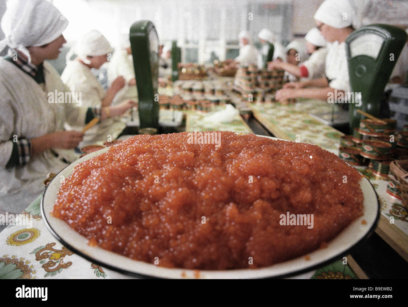 A fish cannery red caviar pre packing conveyor line Stock Photo - Alamy