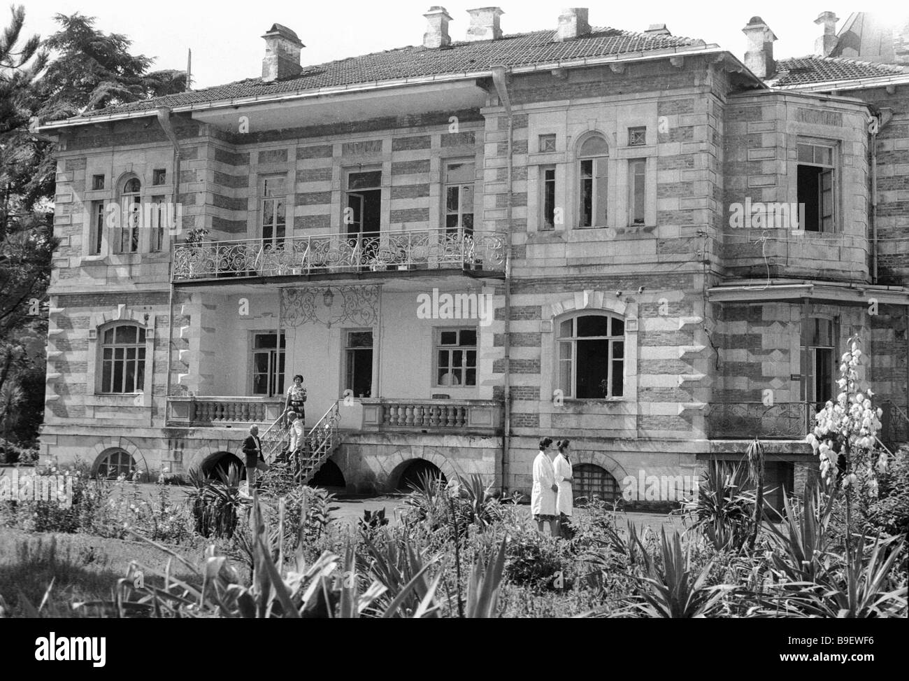 The Chakva branch of the All Union Research Institute of Tea and ...