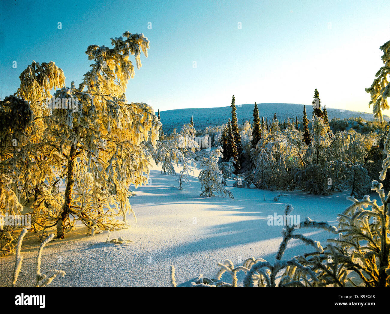 The Kola Peninsula Stock Photo - Alamy
