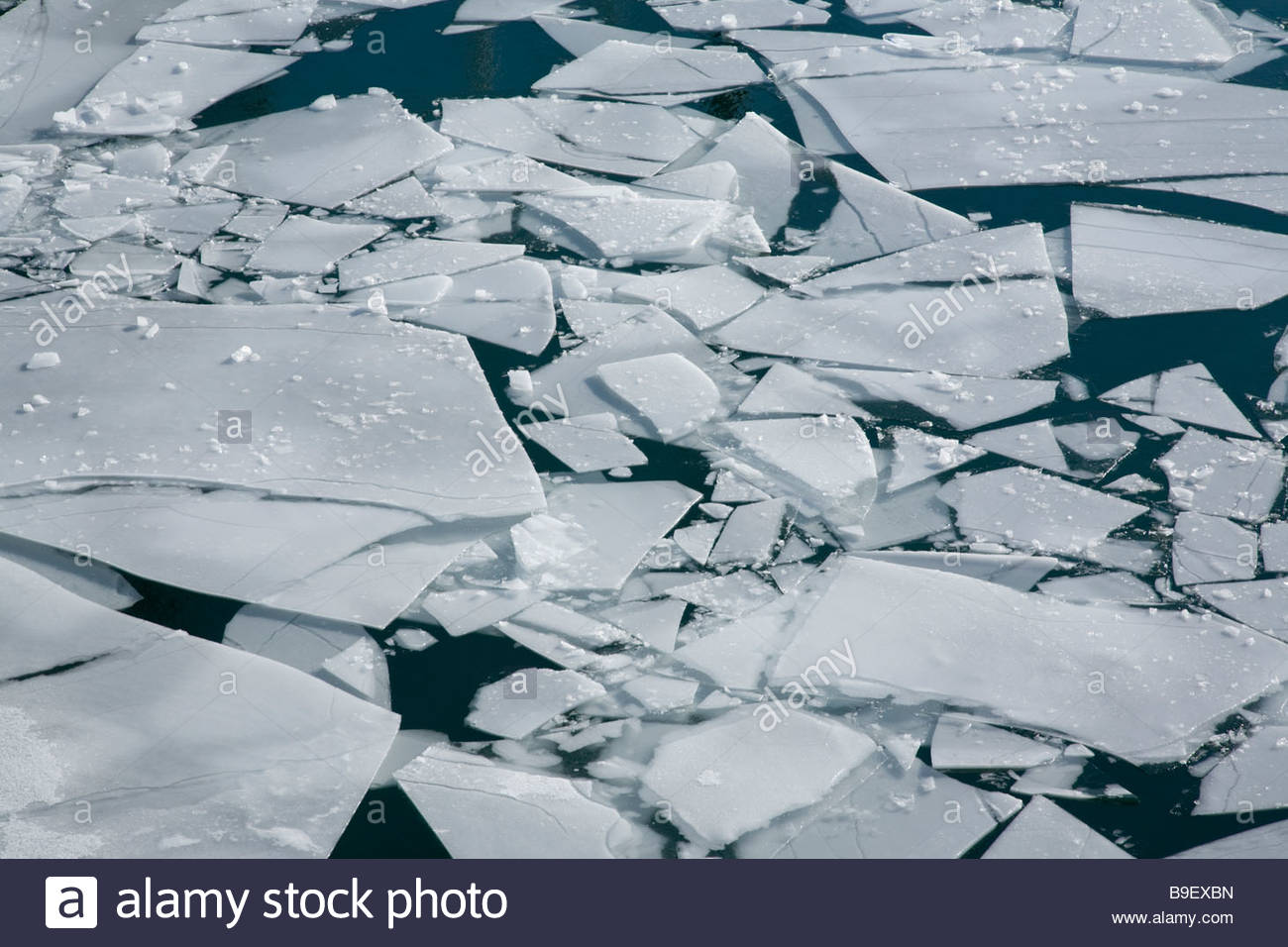 On Thin Ice Stock Photos & On Thin Ice Stock Images - Alamy