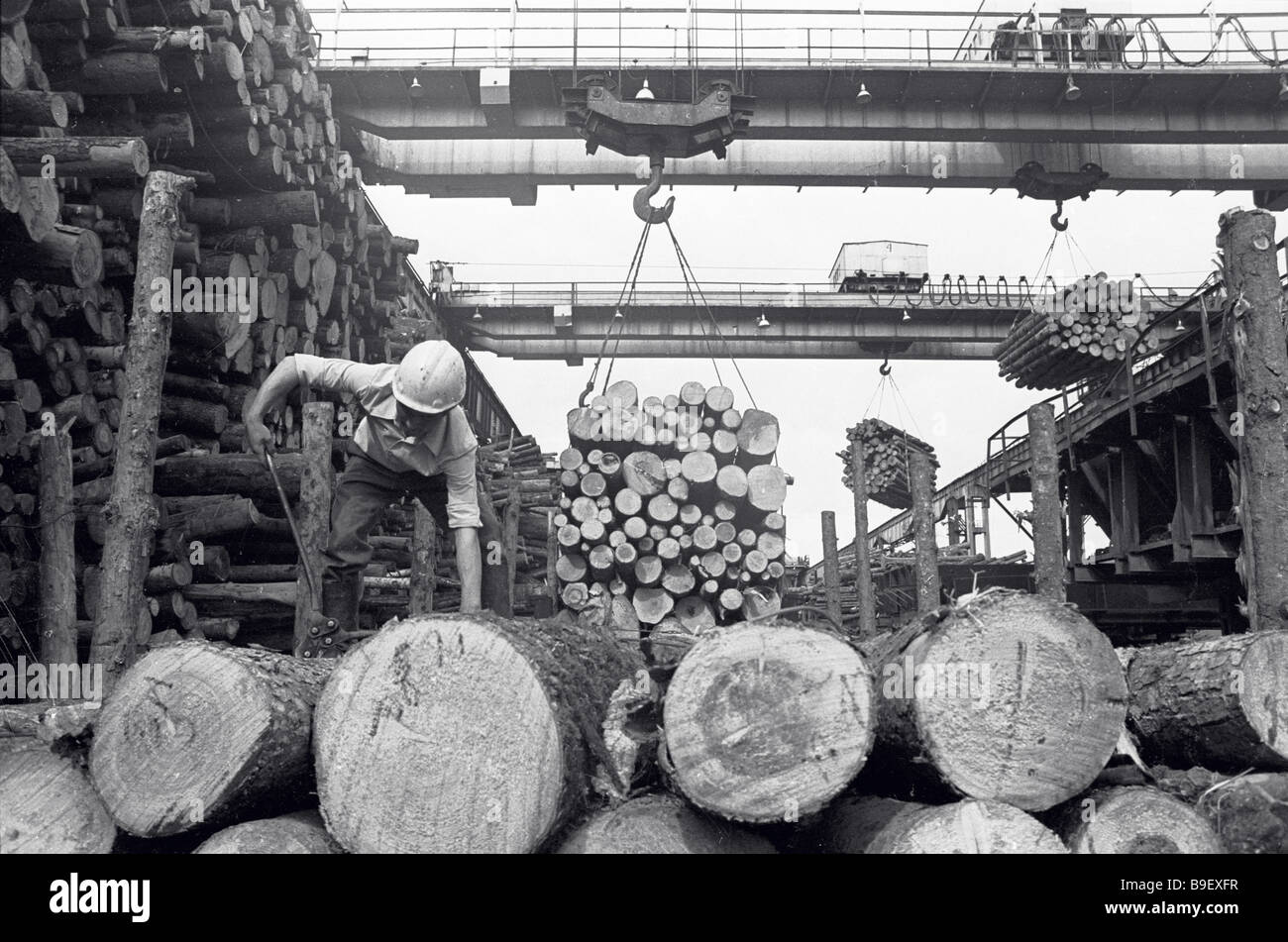 A worker during the wood loading at the log storage of a paper mill ...