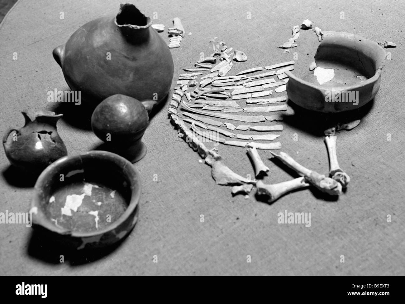 Pottery and bones from a burial mound from the Kura Araxes culture 3rd ...