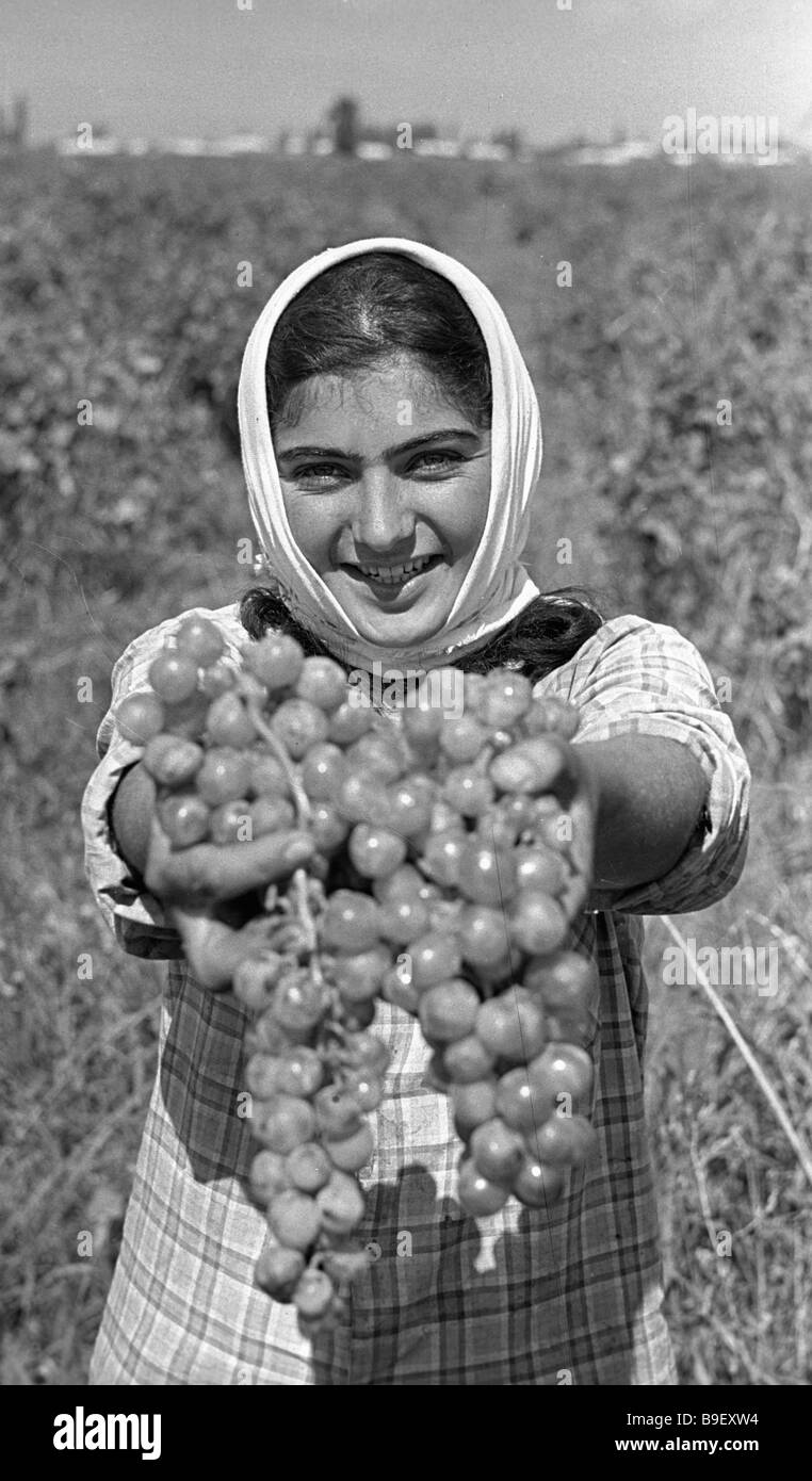 State farm worker displays best grape varieties in the Ararat Valley ...
