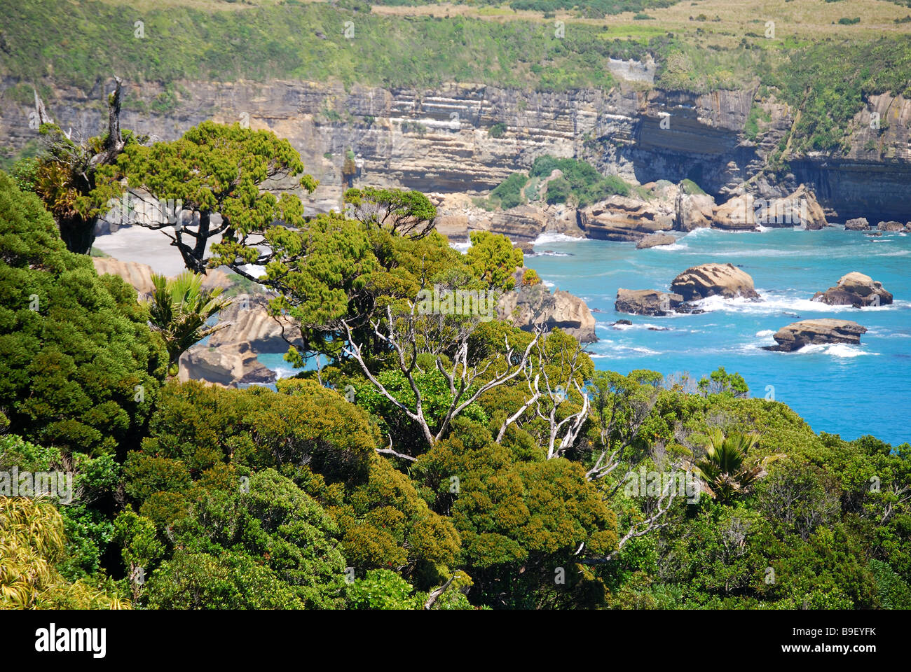 Coastal view, Paparoa National Park, West Coast Region, South Island ...