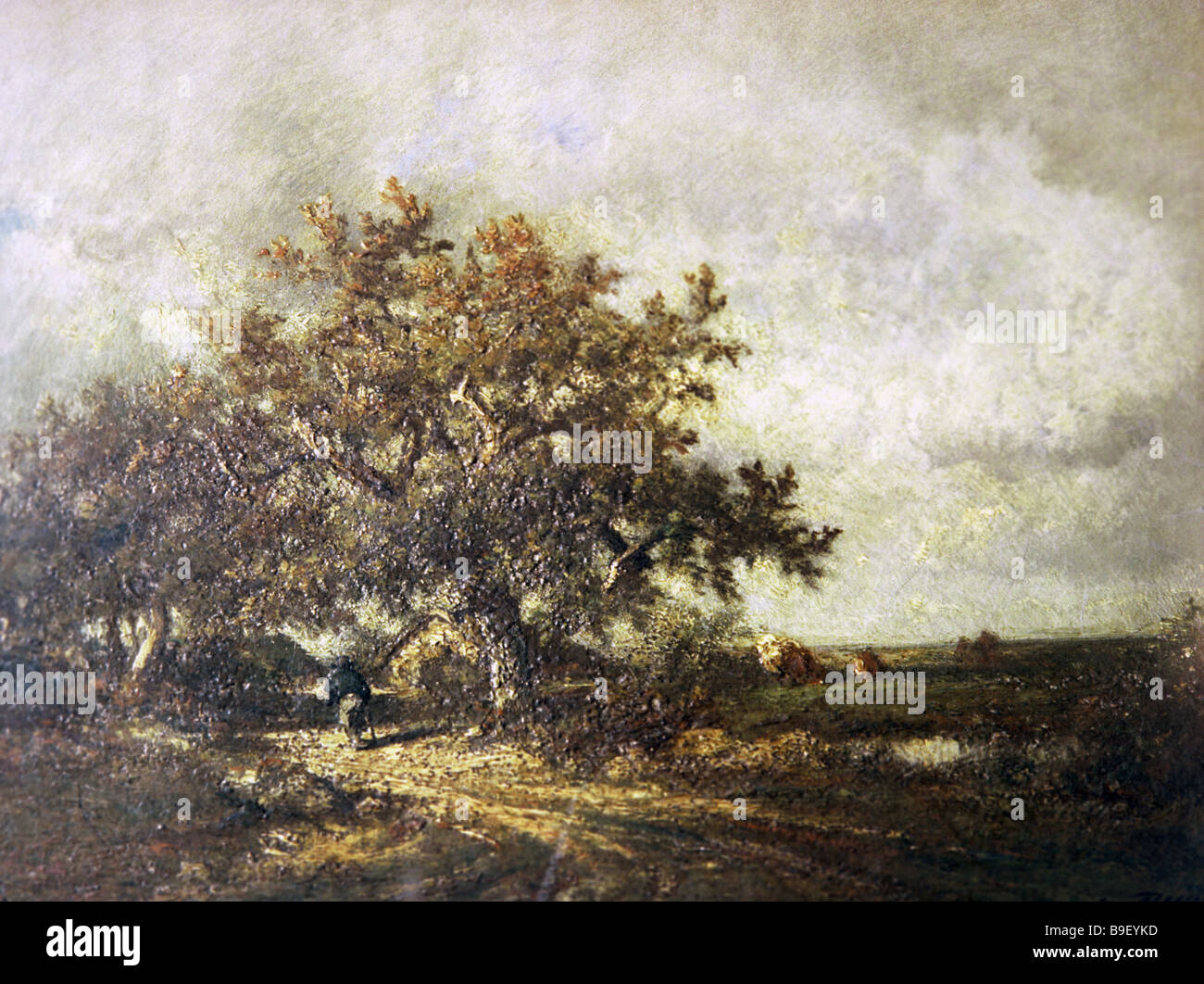 Oak trees near the Road Jules Dupre Pushkin Museum of Fine Arts ...