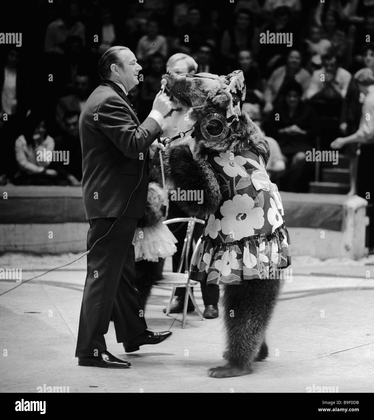 Tamer with a bear in the circus ring Stock Photo - Alamy