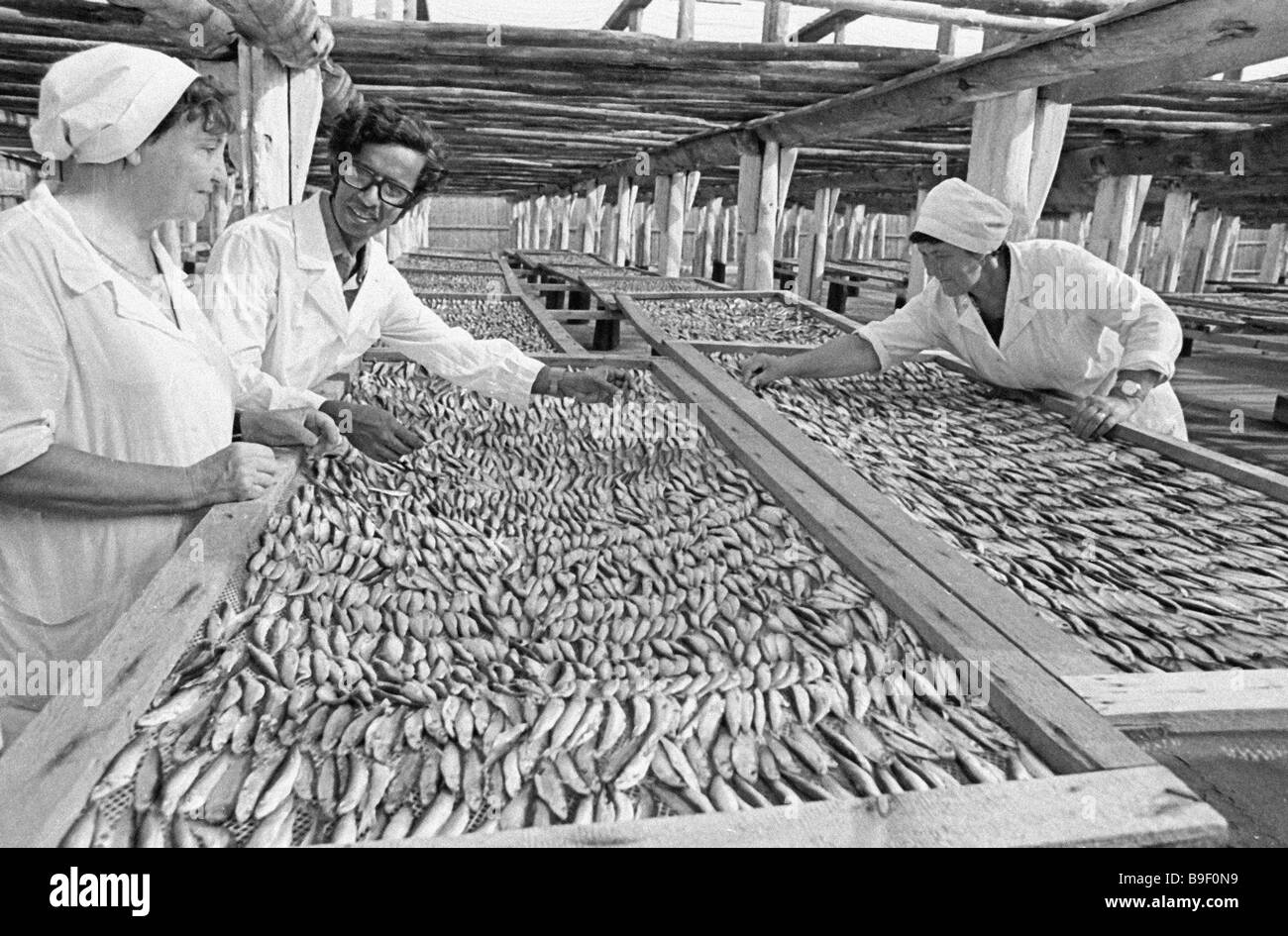 Indian post graduate practices at the Astrakhan fish rearing station ...