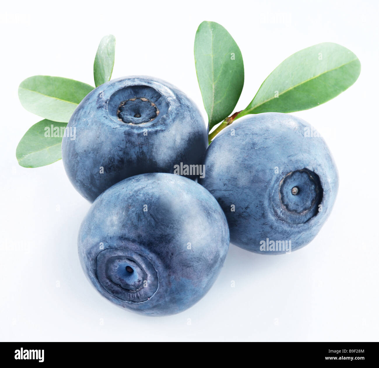 Bilberry fruit hi-res stock photography and images - Alamy