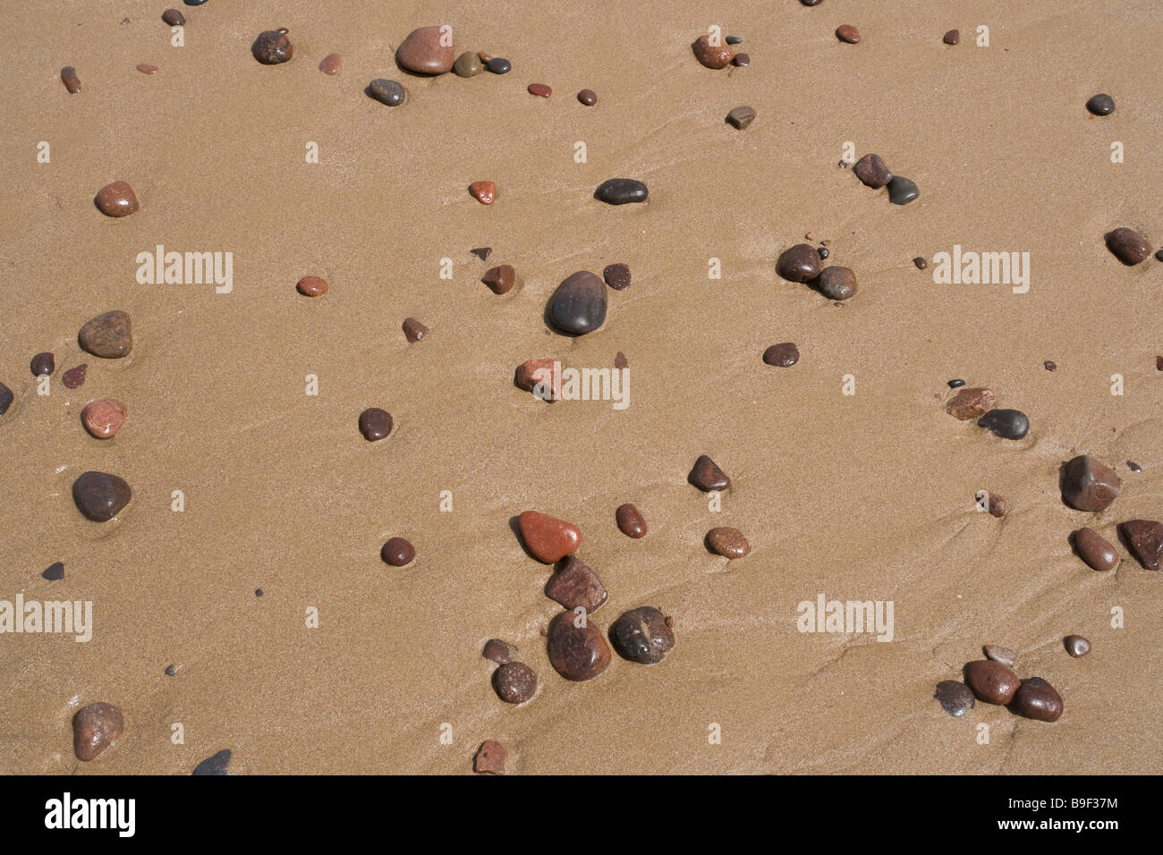 Peddles hi-res stock photography and images - Alamy