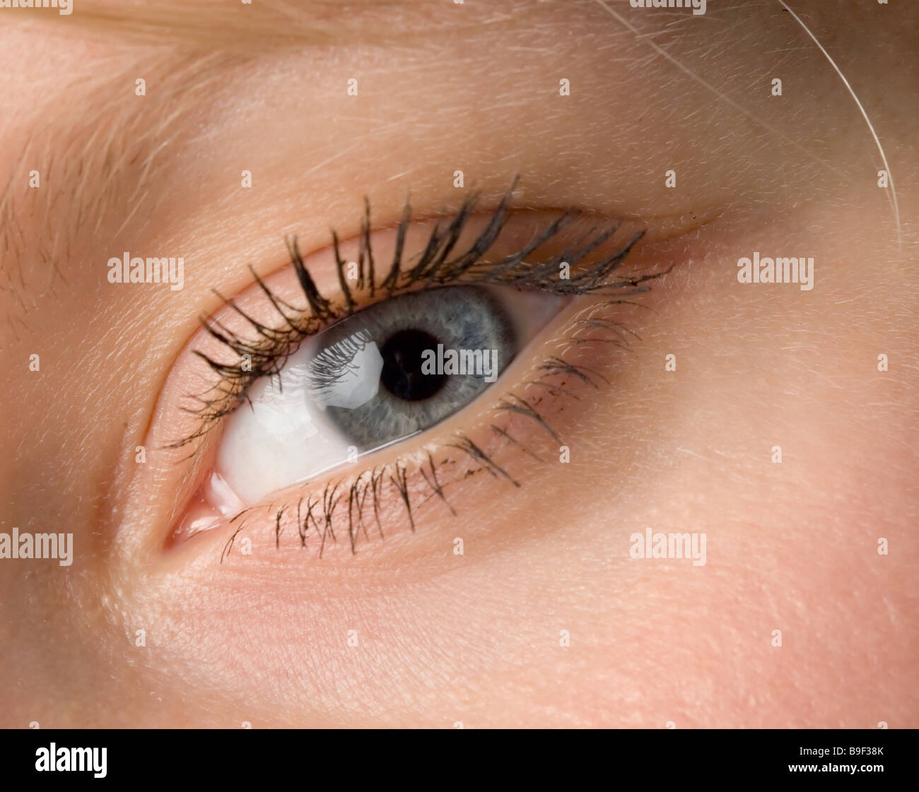 Human wide open blue eye hi-res stock photography and images - Alamy