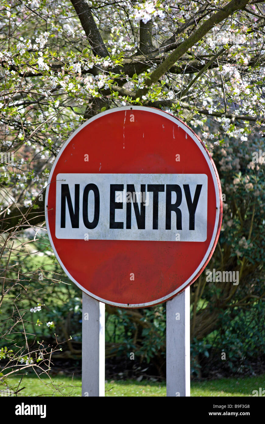 british no entry sign against a backdrop of cherry blossom Stock Photo ...
