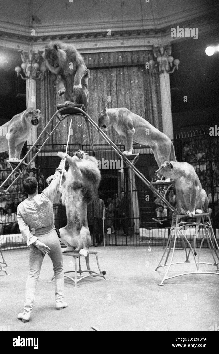 Circus Tamer Stock Photos & Circus Tamer Stock Images - Alamy