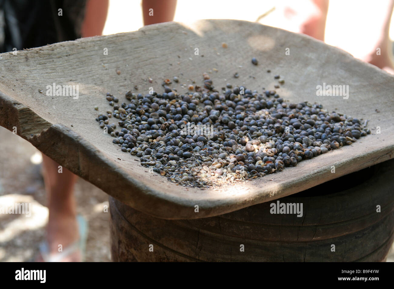 Dried Coffee Fruit Stock Photo - Alamy