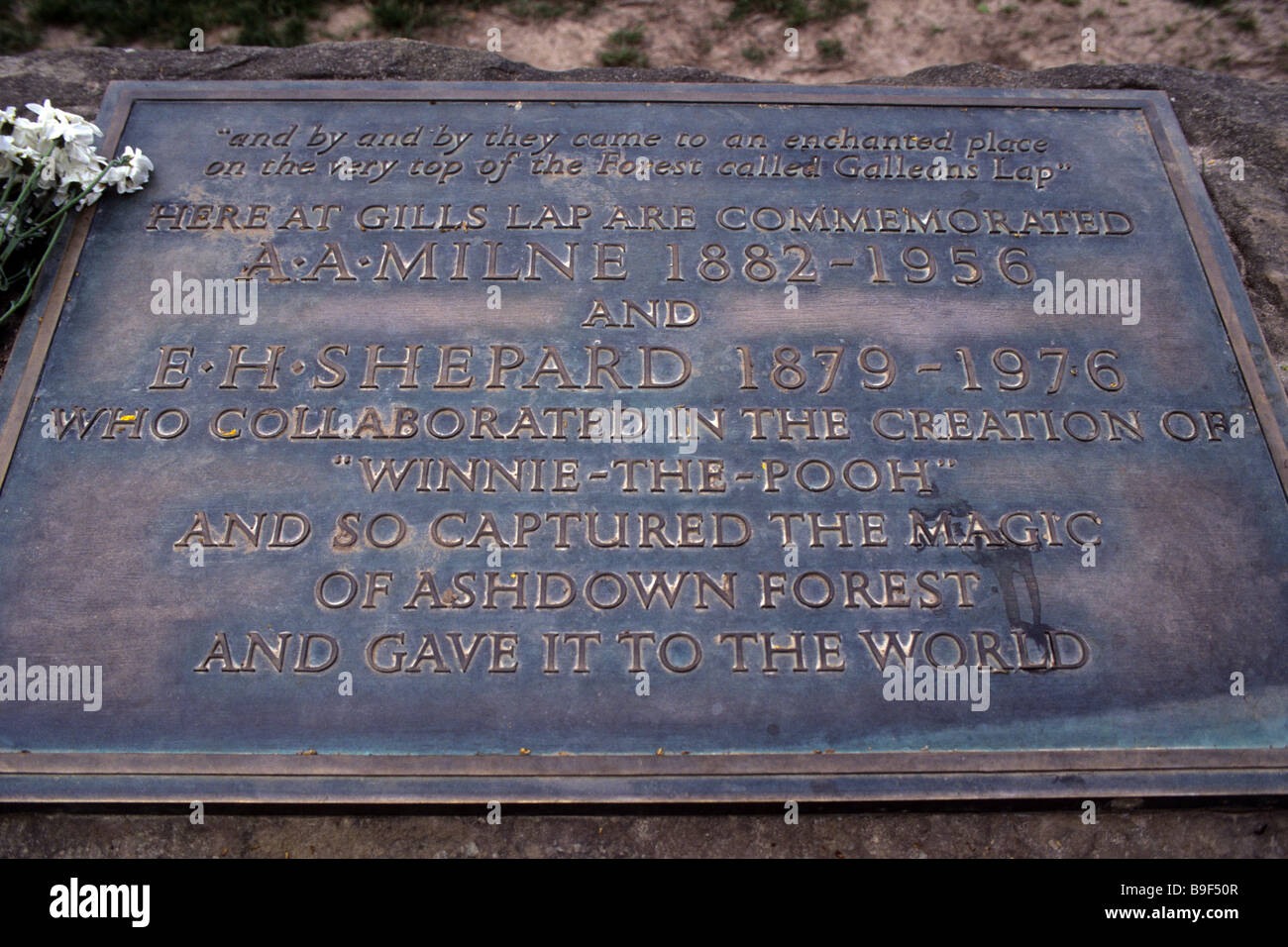 Memorial plate for AA Milne and EH Shepard in The Ashdown Forest, East ...