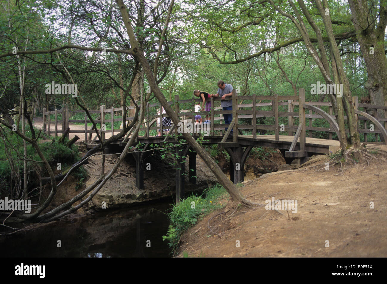 Pooh Bridge Ashdown Forest High Resolution Stock Photography and Images ...