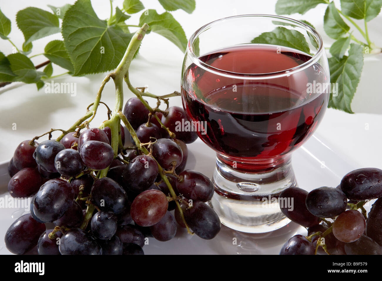 Glass grape-juice grapes blue beverage juice fruit juice fruit juice ...