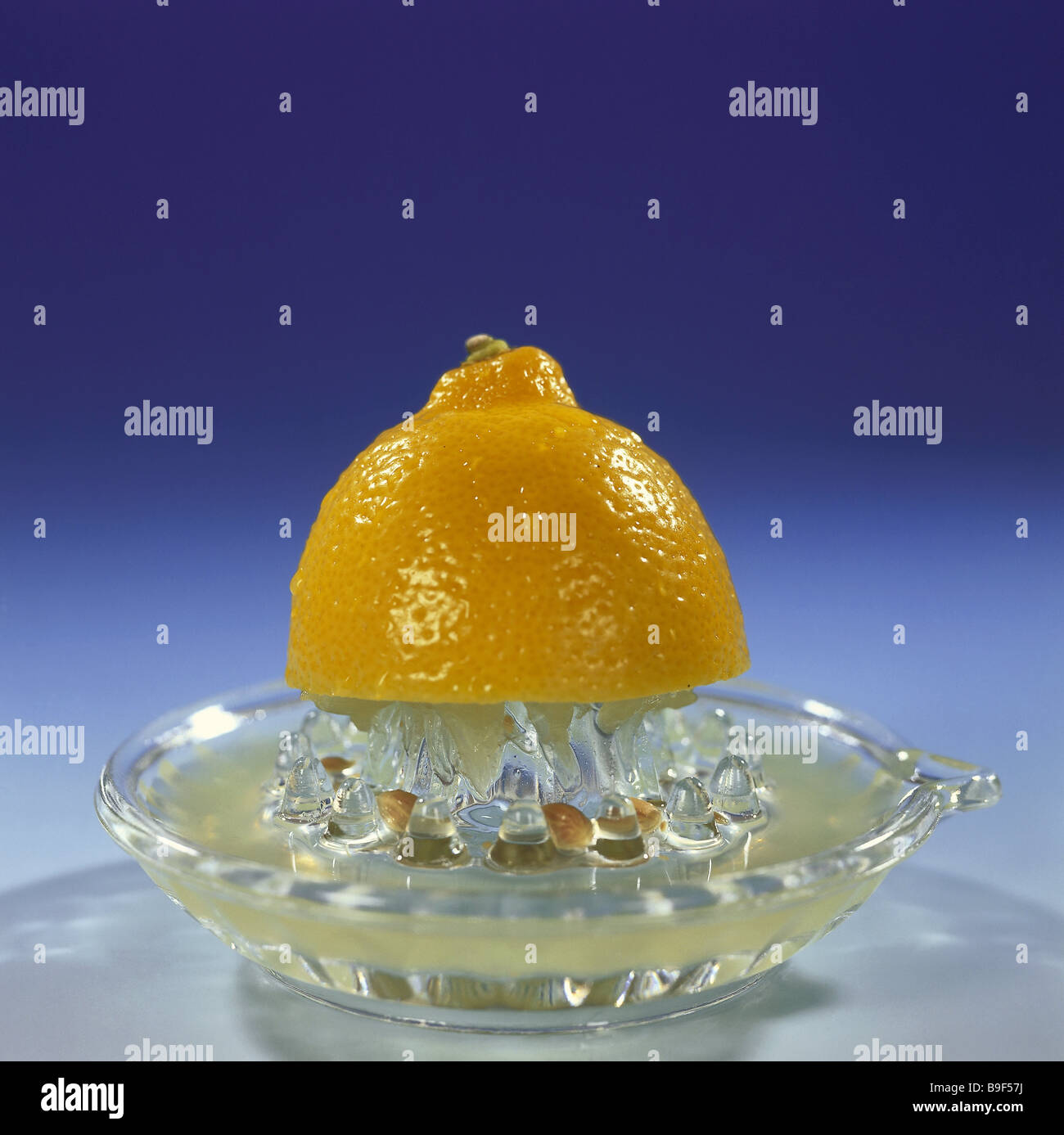 Lemon-press lemon food fruit fruit citrus fruit lemon-half halves press ...