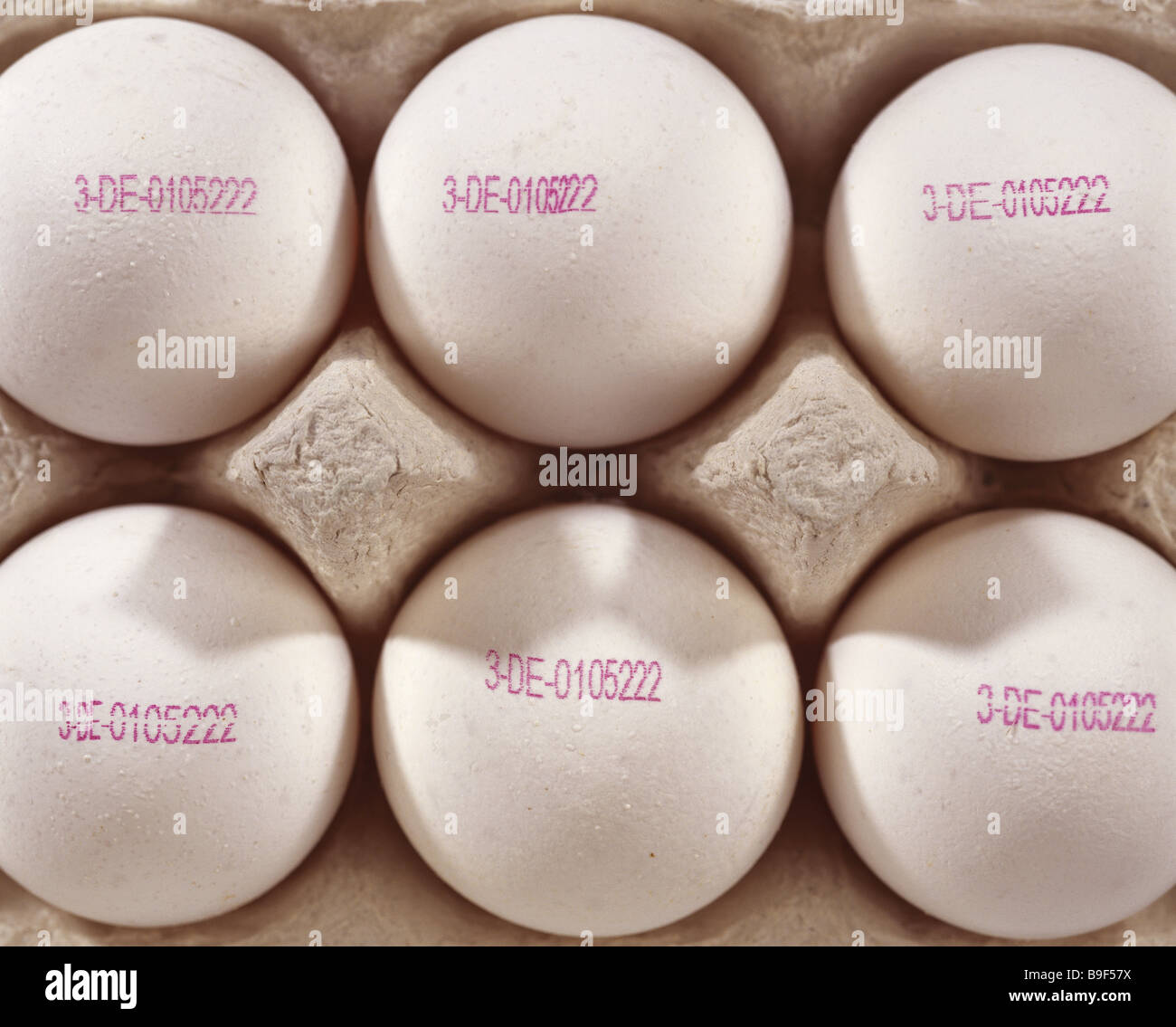 Labeling eggs hi-res stock photography and images - Alamy