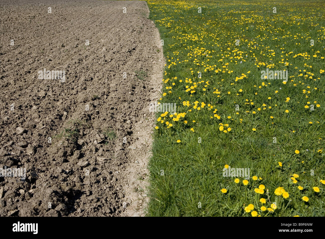 Field Border Definition at Michael Carandini blog