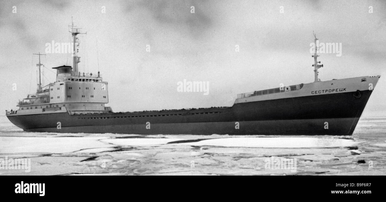 Container ship Sestroretsk Stock Photo - Alamy