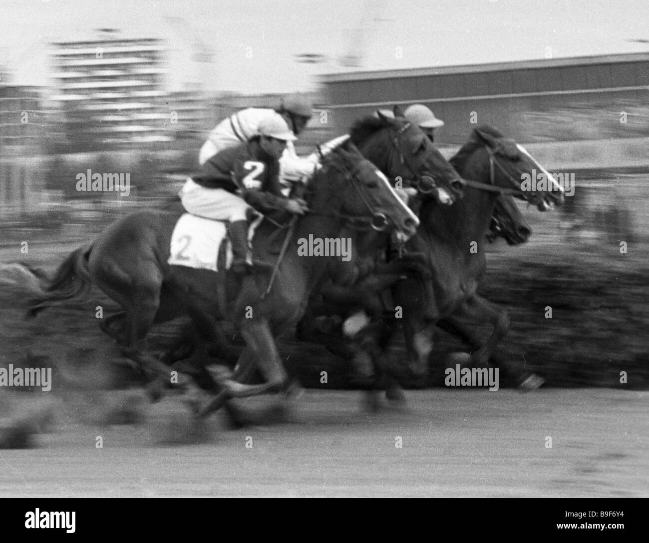 International horse racing contest Stock Photo - Alamy