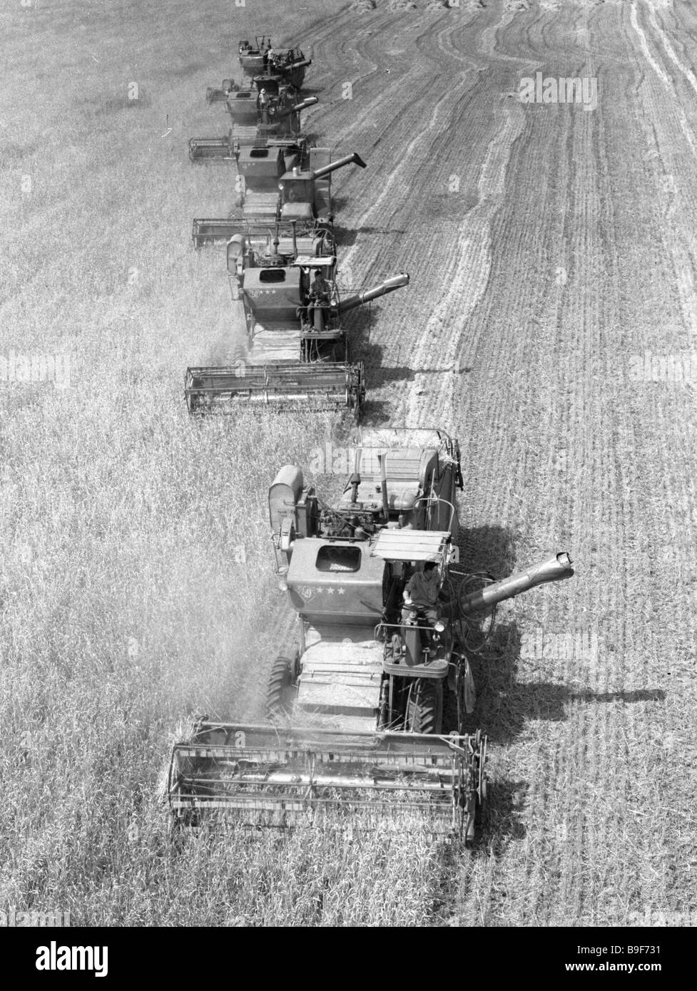 Harvesters reaping the wheat Stock Photo - Alamy