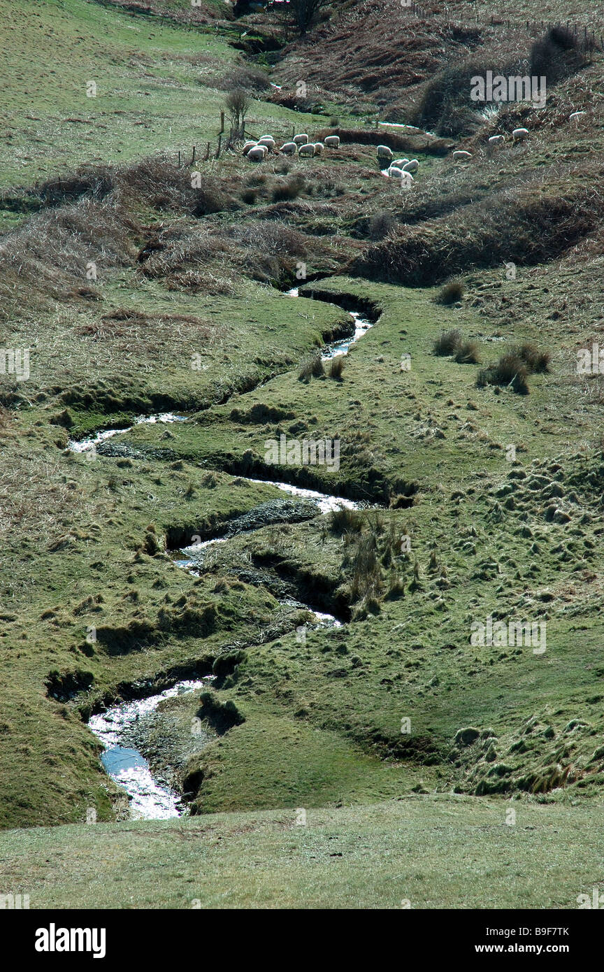 Meadering river hi-res stock photography and images - Alamy