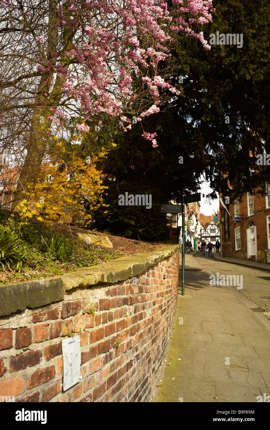 Lincoln pink spring blossom hi-res stock photography and images - Alamy