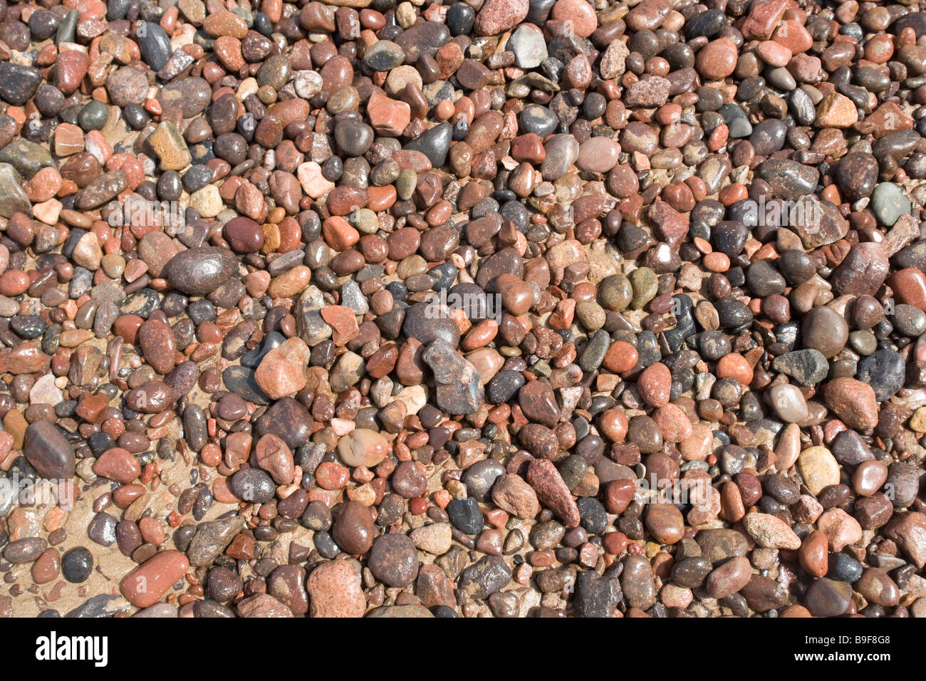 Pebbles and shingle hi-res stock photography and images - Alamy