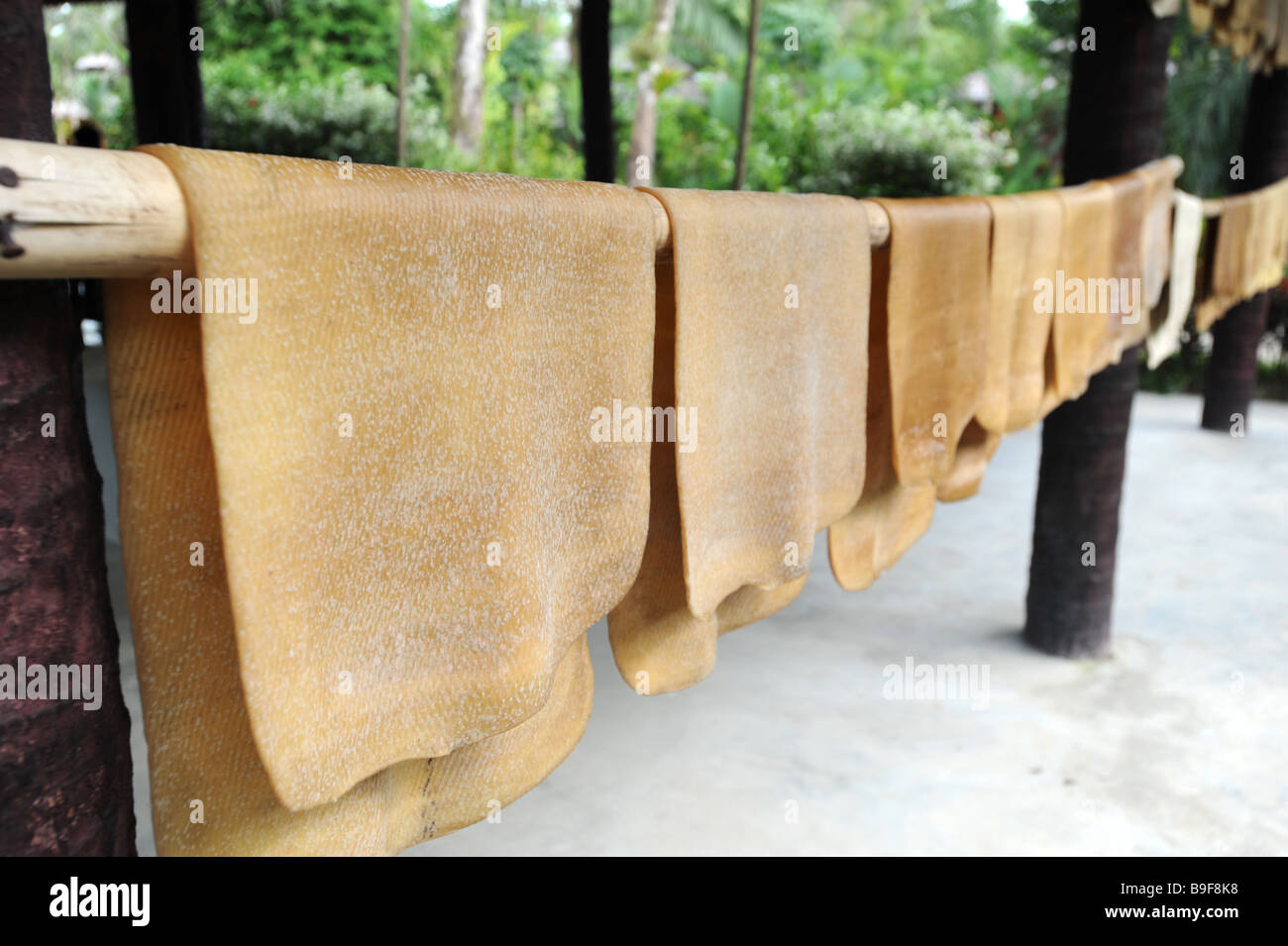 Rubber processing hi-res stock photography and images - Alamy