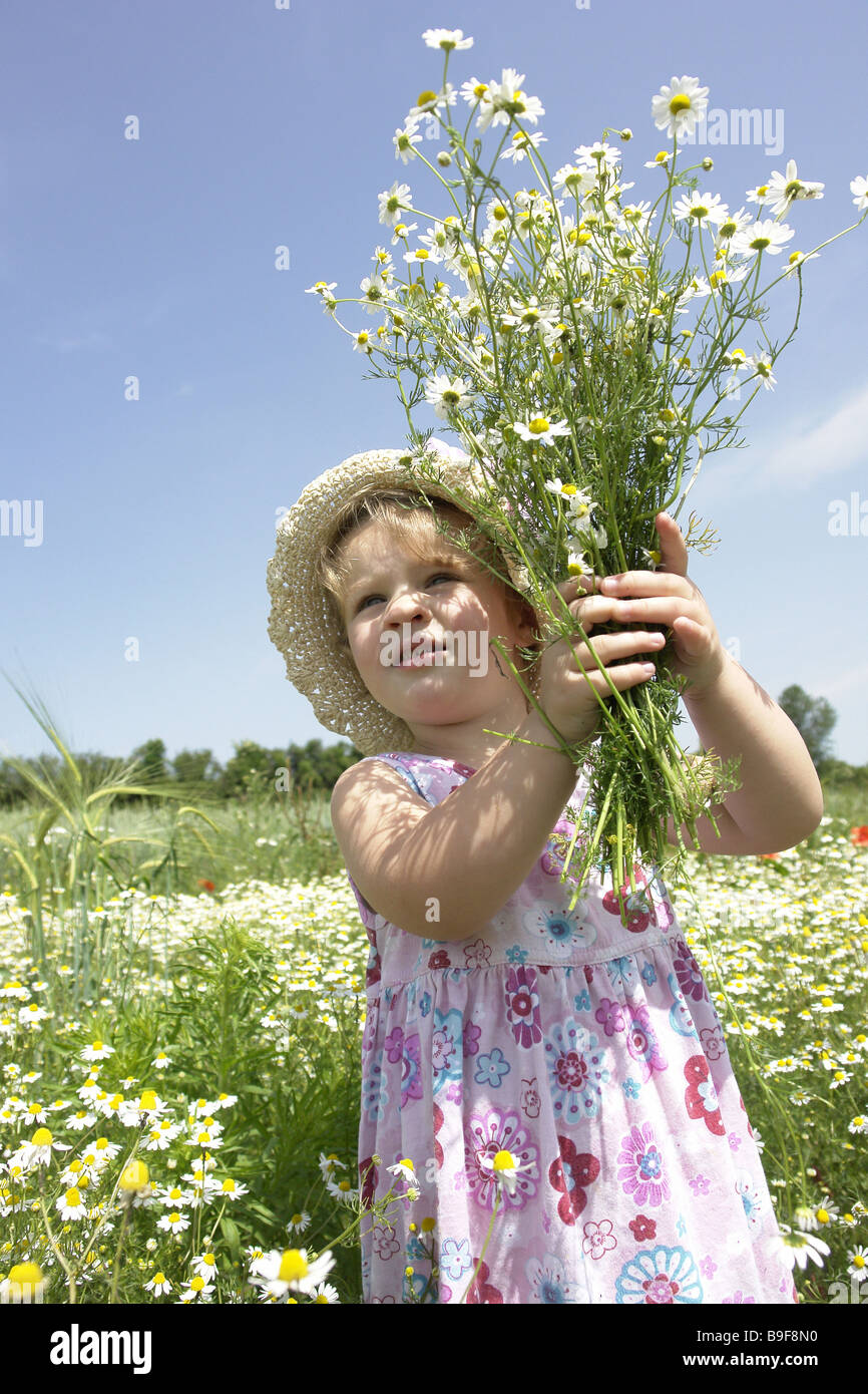 Child girl meadow picking flowers 3-5 years alone outside blue heaven ...