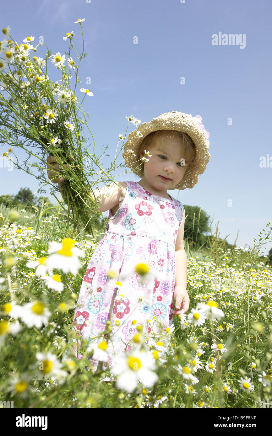 Child girl meadow picking flowers 3-5 years alone outside blue heaven ...