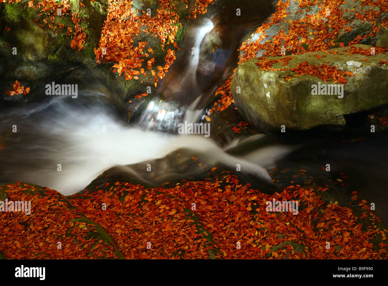 Stara reka hi-res stock photography and images - Alamy