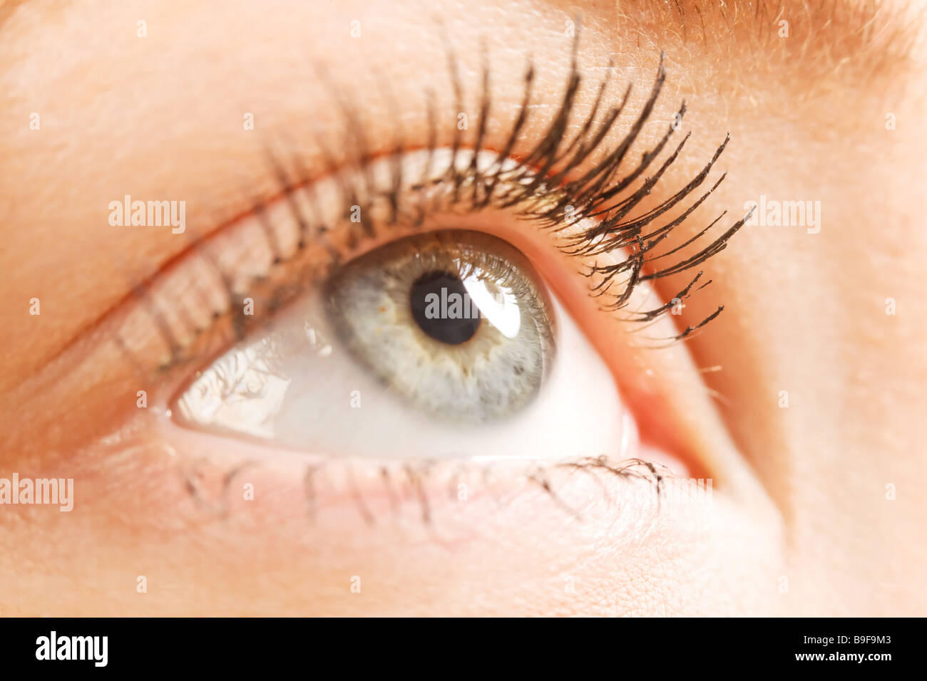 female wide open eye with long eyelashes macro Stock Photo - Alamy