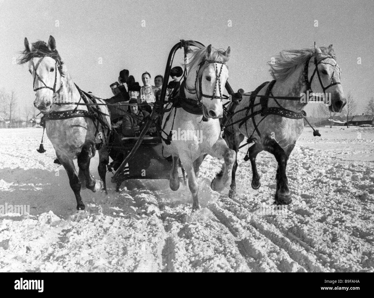 A Russian troika ride Stock Photo - Alamy