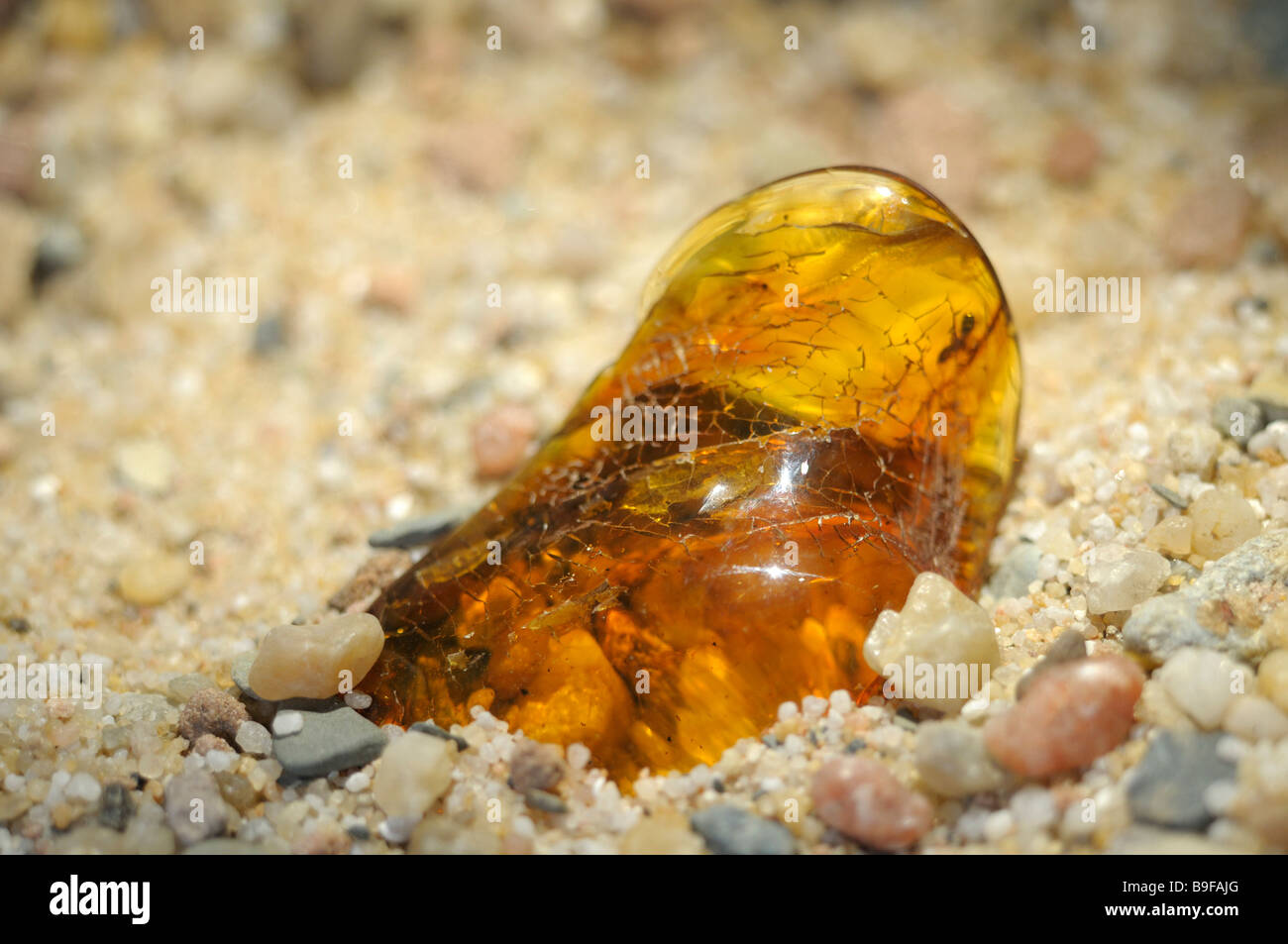Amber on sand Stock Photo - Alamy