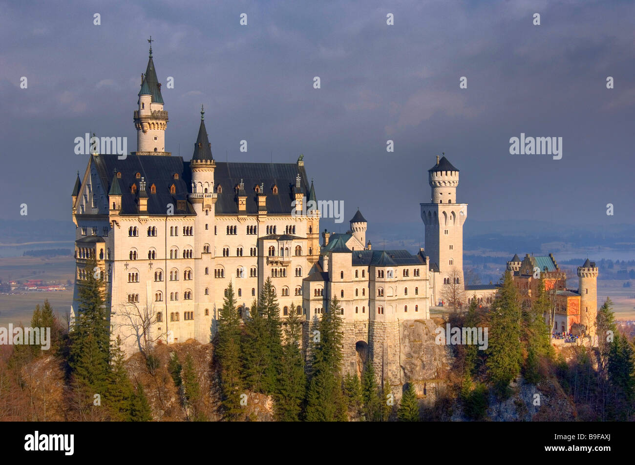 Trees in front of castle, Neuschwanstein Castle, Allgaeu, Bavaria ...