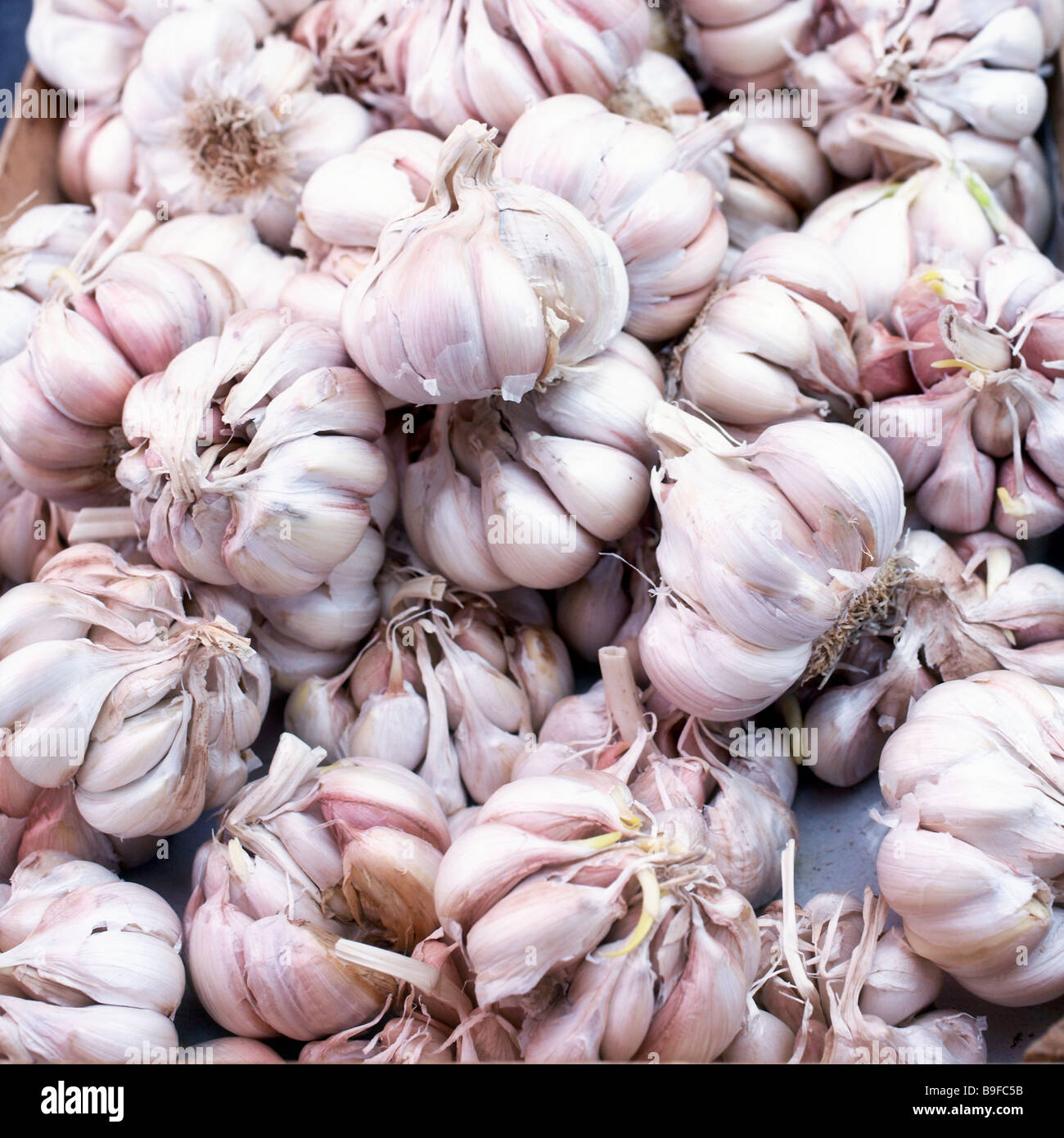 Garlic pictures hi-res stock photography and images - Alamy