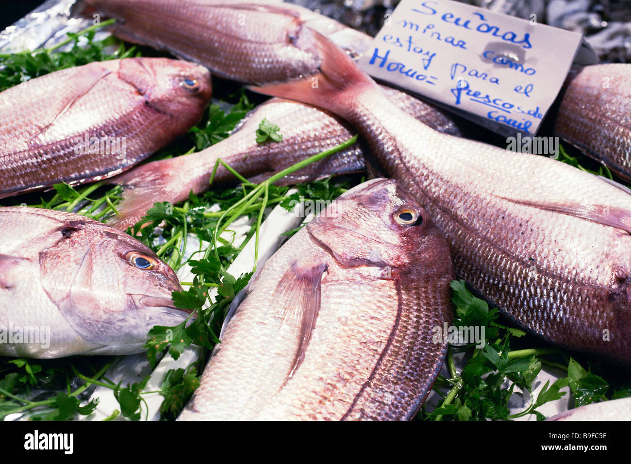 Coriander picture hi-res stock photography and images - Alamy