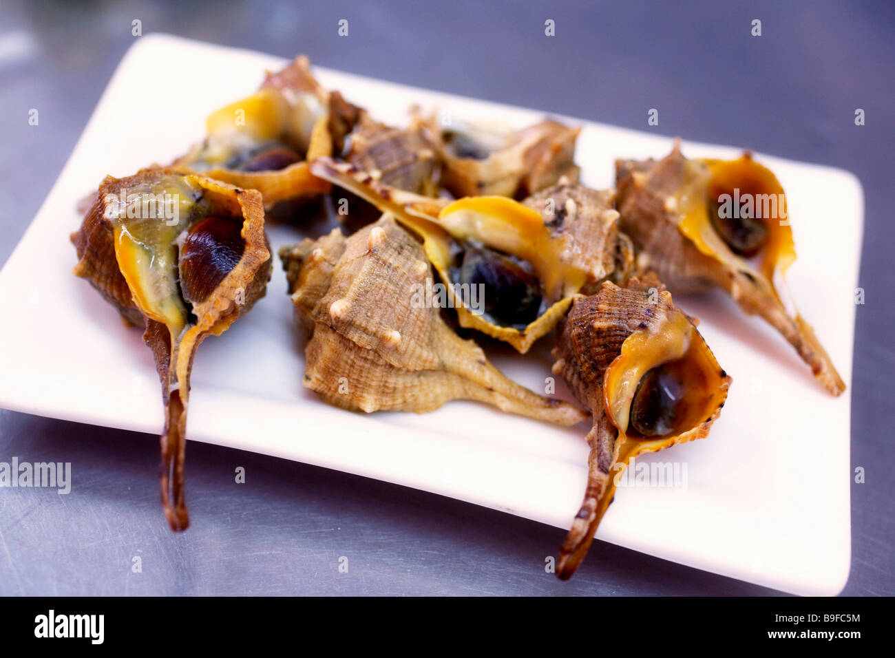 Sectioned shells hi-res stock photography and images - Alamy