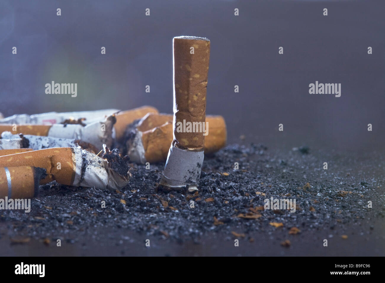Ciggy butts hi-res stock photography and images - Alamy