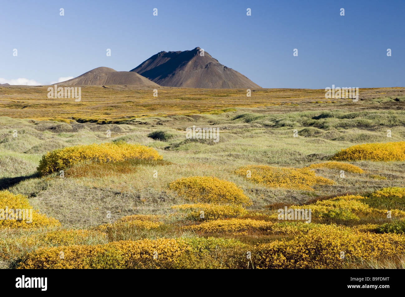 Iceland nature landscape vegetation volcano summer Stock Photo - Alamy
